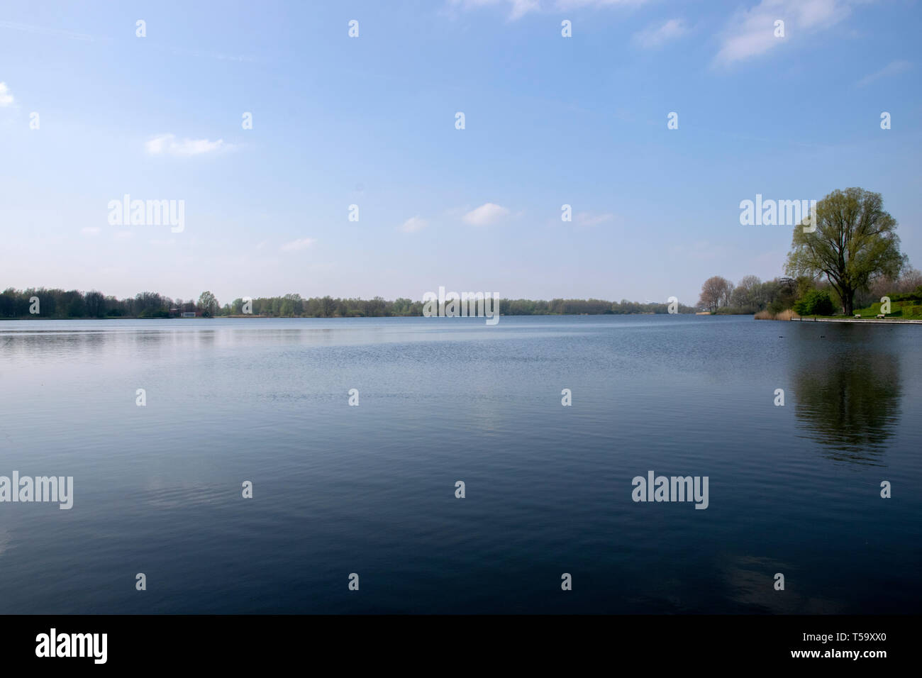 Gaasperplas Lake At Amsterdam The Netherlands 2019 Stock Photo - Alamy