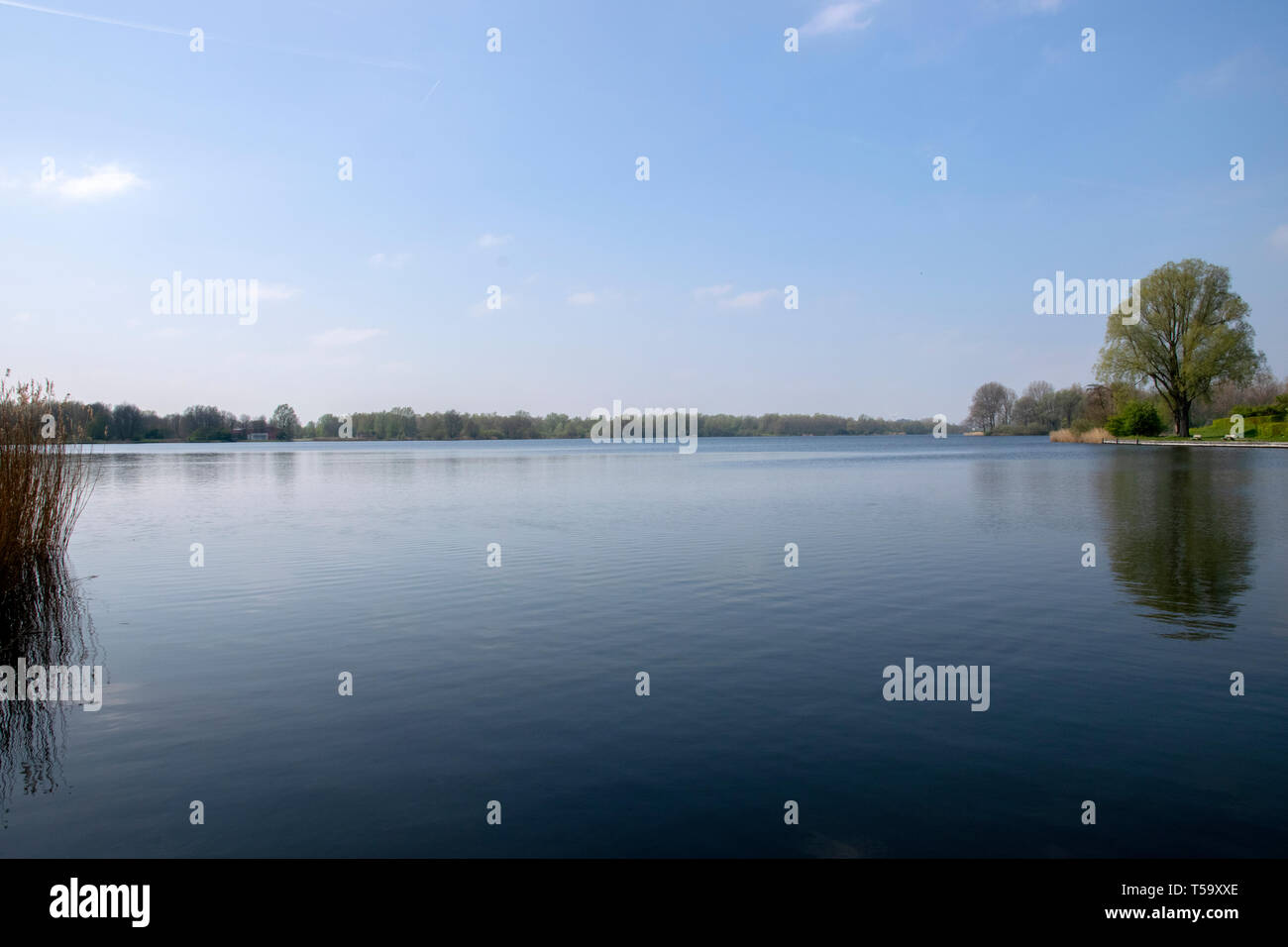 Gaasperplas High Resolution Stock Photography and Images - Alamy