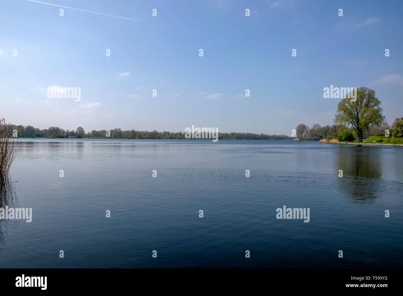 Gaasperplas Lake At Amsterdam The Netherlands 2019 Stock Photo - Alamy