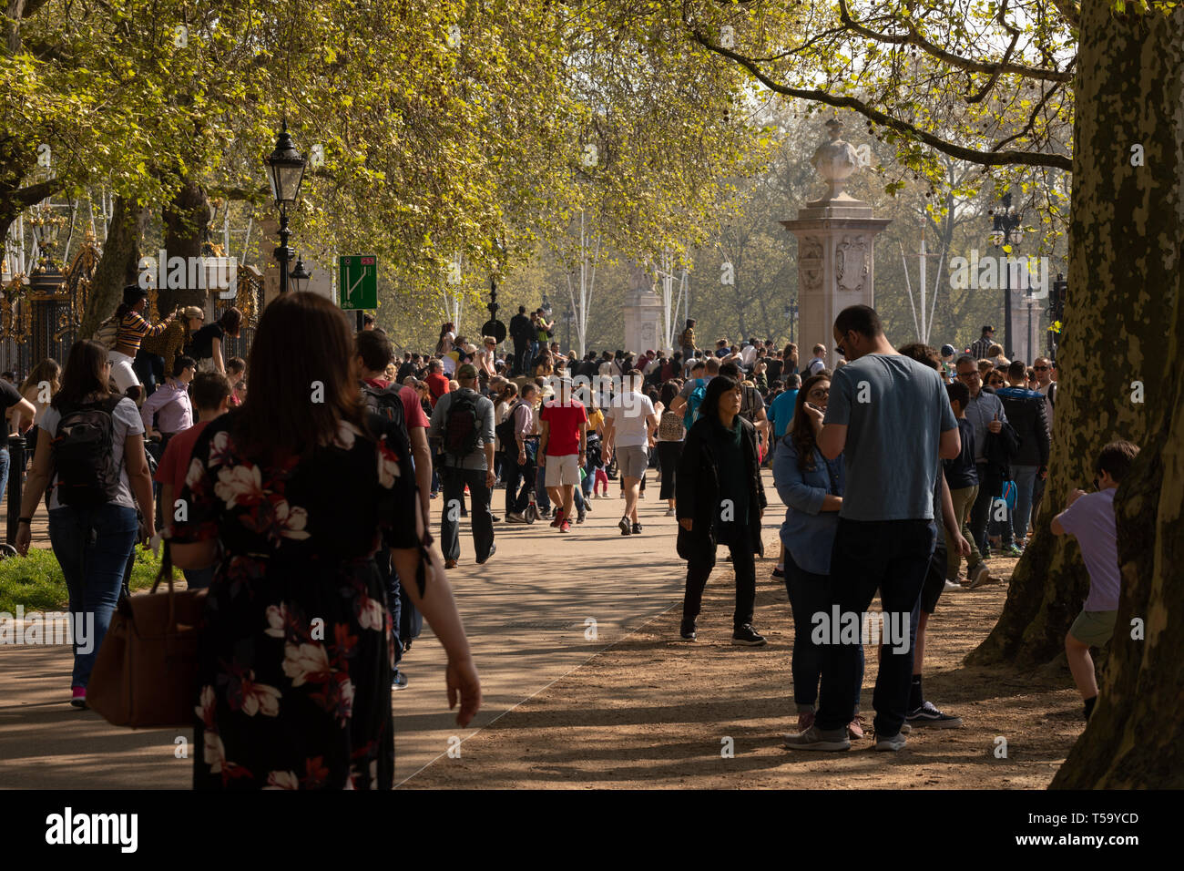 London in Summer Stock Photo - Alamy