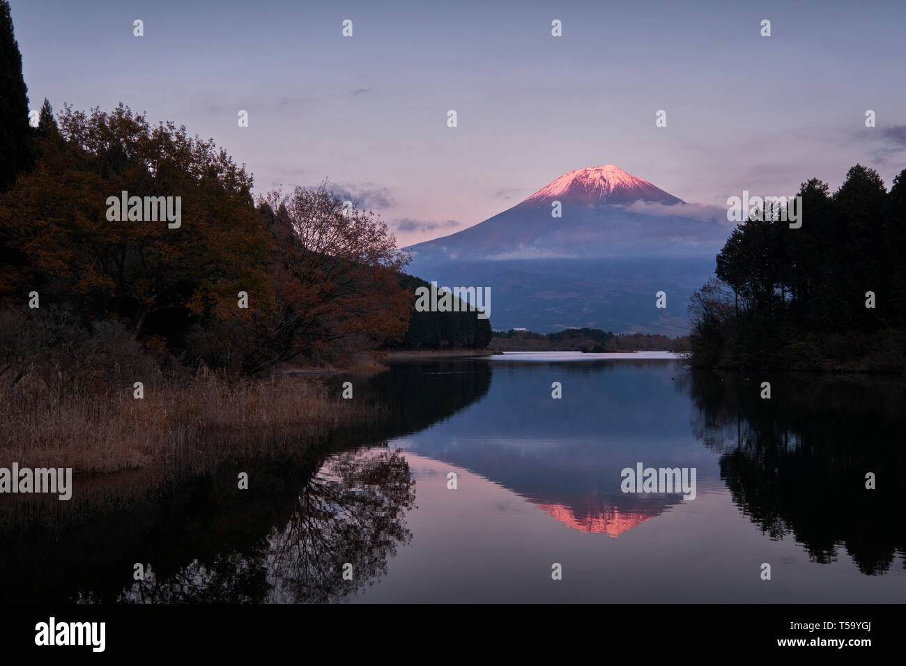 View of Mount Fuji at sunset from lake Tanuki, Shizuoka Prefecture ...
