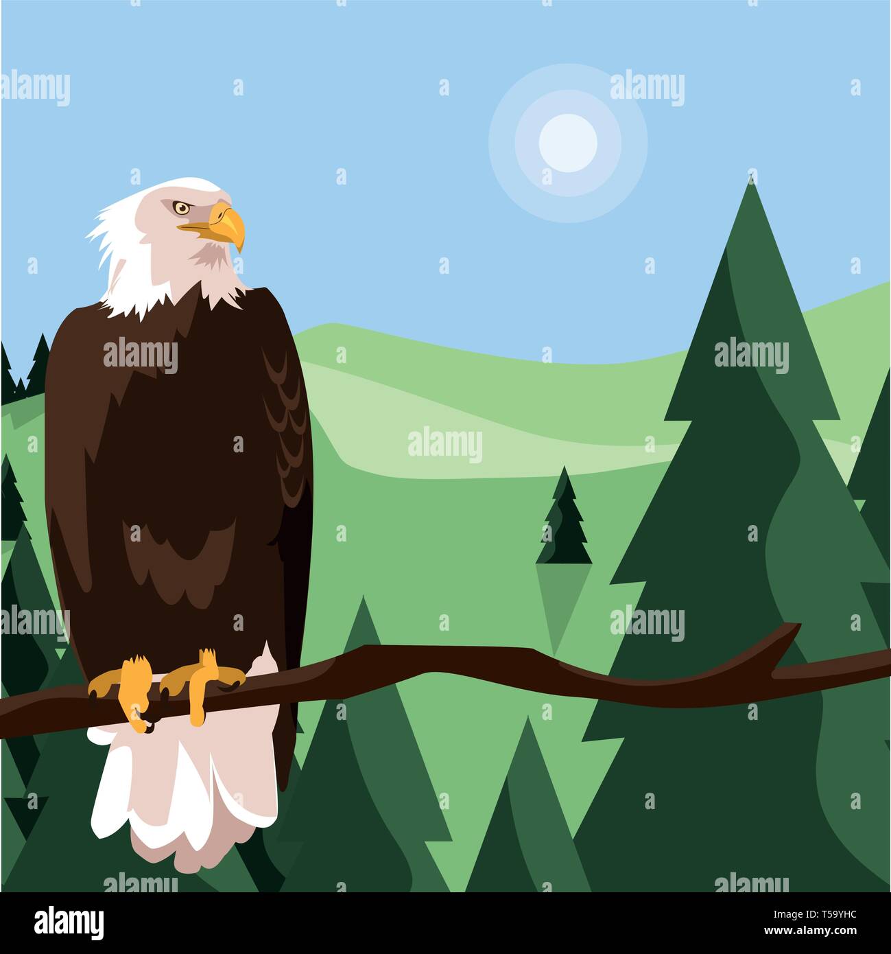 beautiful bald eagle in tree branch landscape scene vector illustration ...
