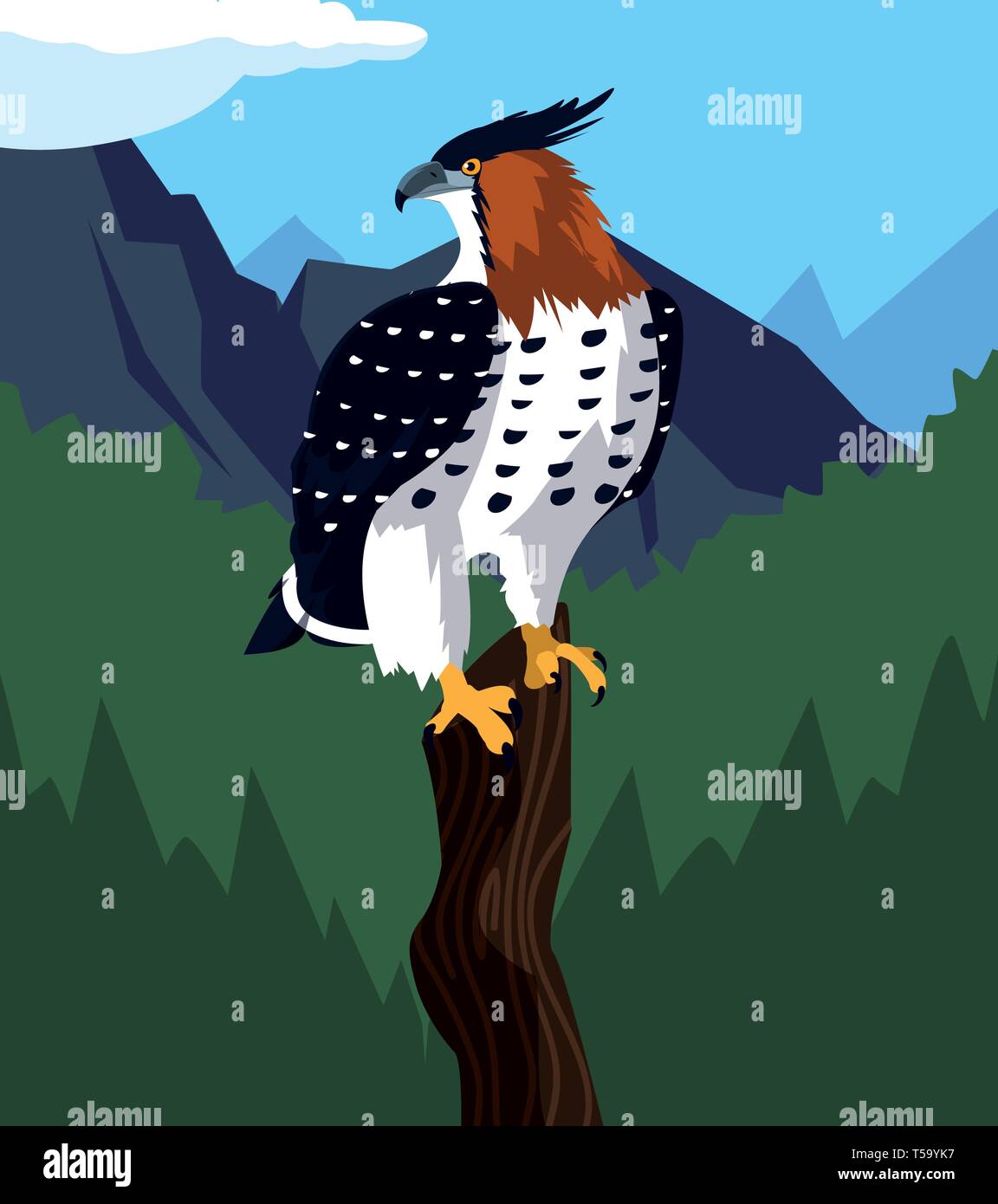 beautiful hawk in tree branch landscape scene vector illustration ...