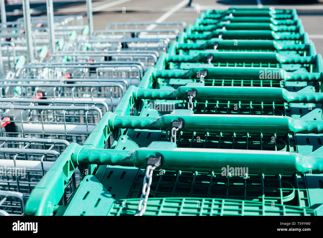 Line of green shopping carts in a supermarket. Outdoor shot Stock Photo ...