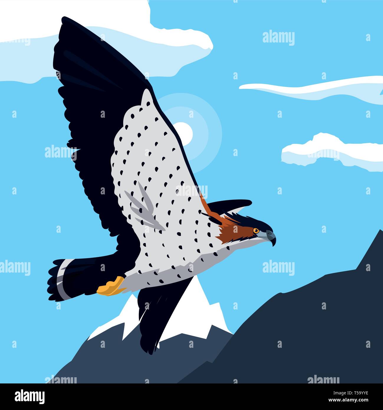 beautiful hawk flying majestic bird in the landscape vector ...