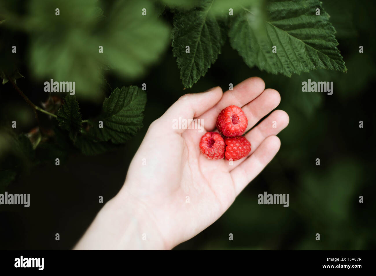 Hand activity hi-res stock photography and images - Alamy