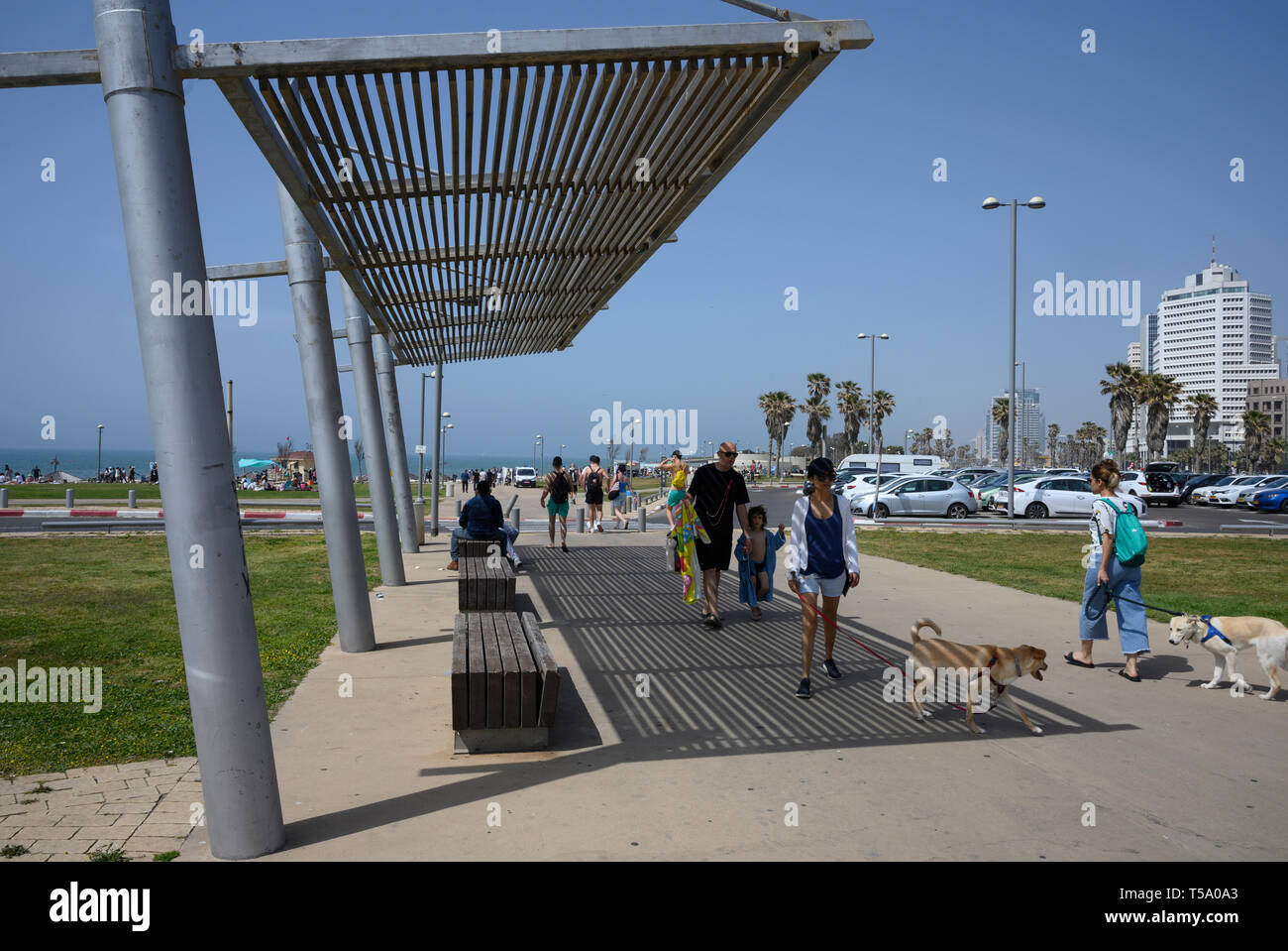 Beach promenade, Tel Aviv, Israel Stock Photo - Alamy
