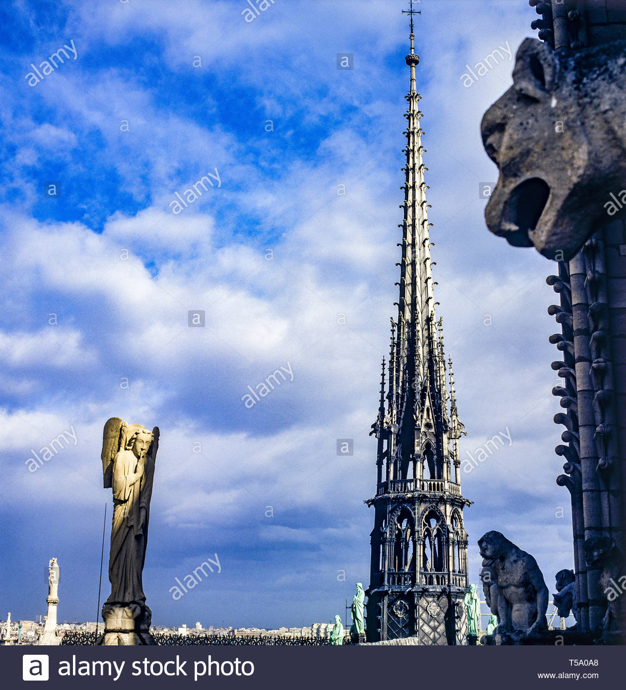 Spire Cathedral Notre Dame De Paris Stock Photos & Spire Cathedral ...
