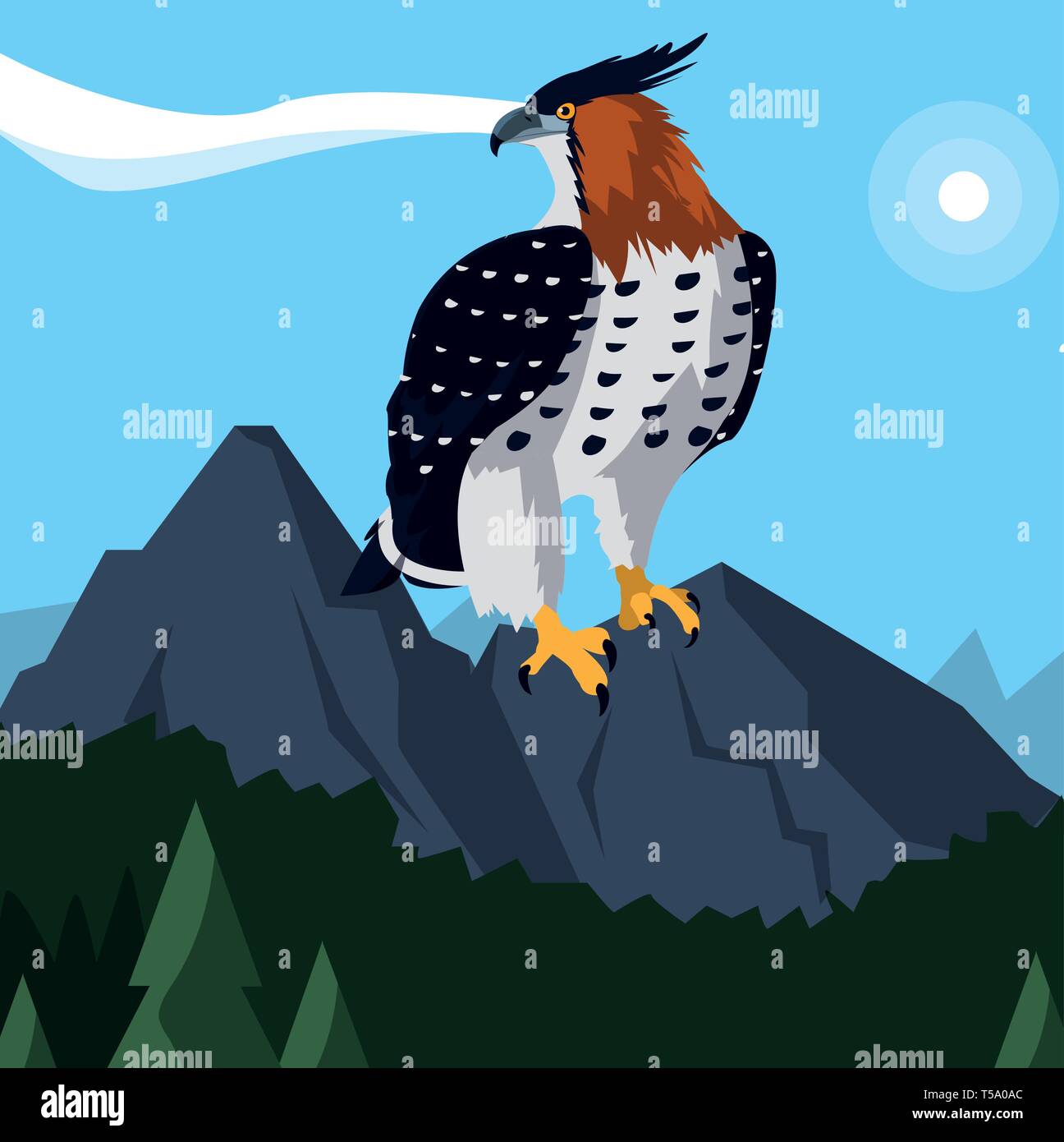 beautiful hawk majestic bird in the landscape vector illustration ...