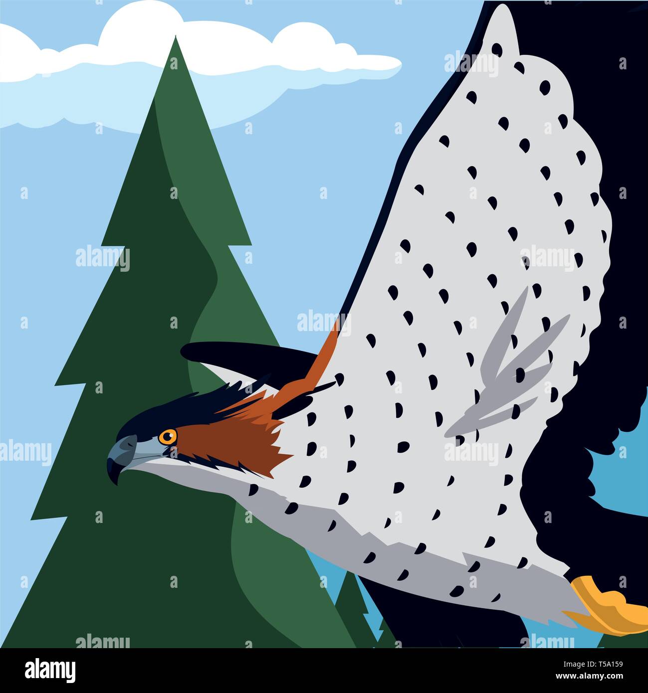 beautiful hawk flying majestic bird in the landscape vector ...