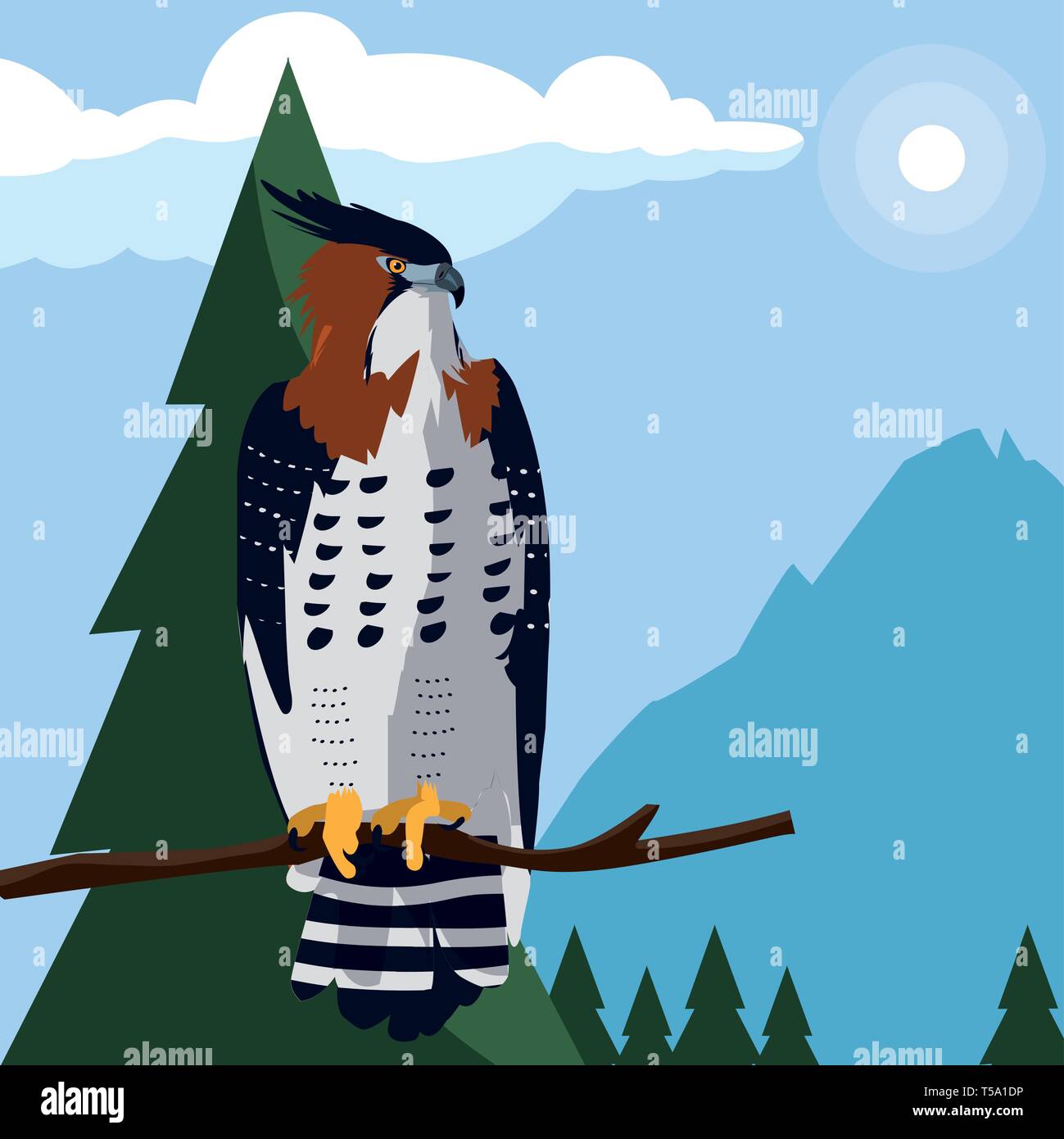 beautiful hawk in tree branch landscape scene vector illustration ...