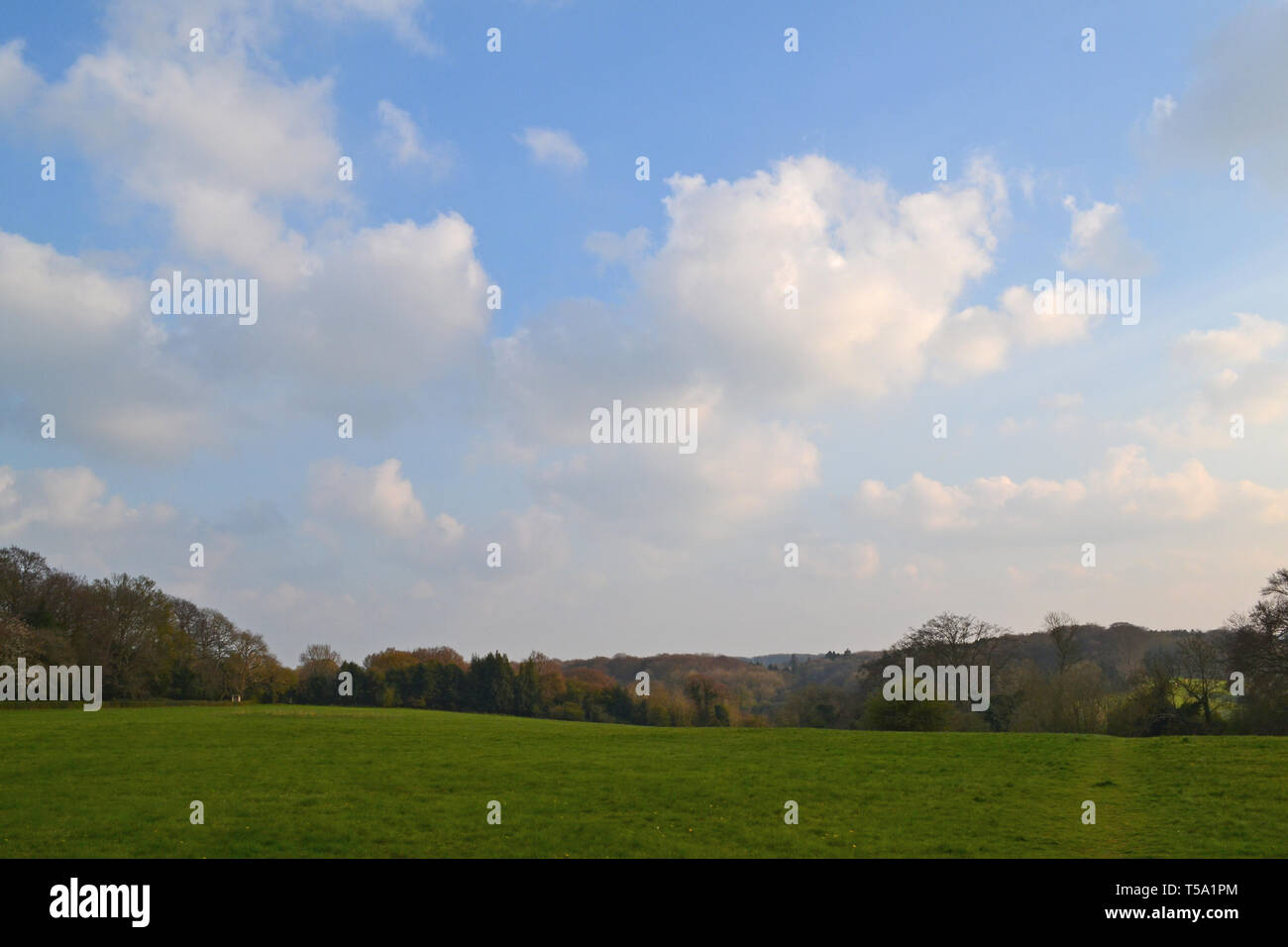 Downe countryside kent hi-res stock photography and images - Alamy