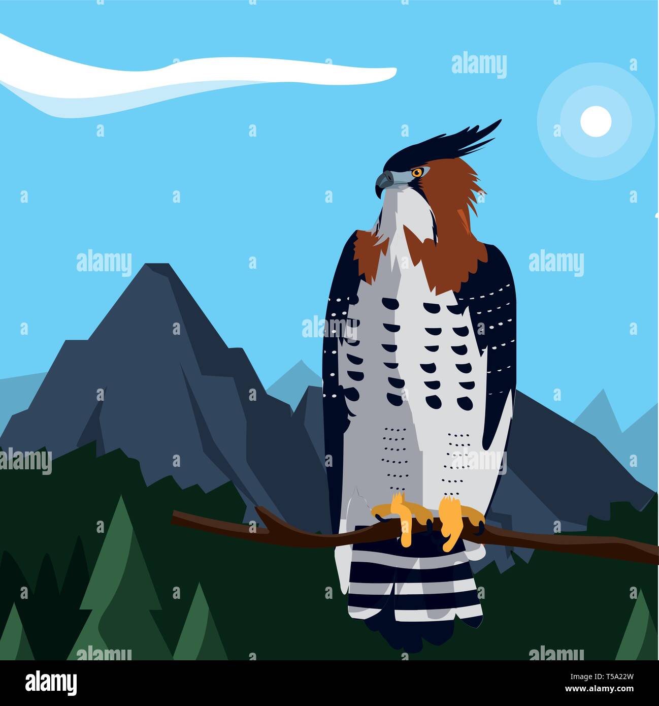 beautiful hawk majestic bird in the landscape vector illustration ...