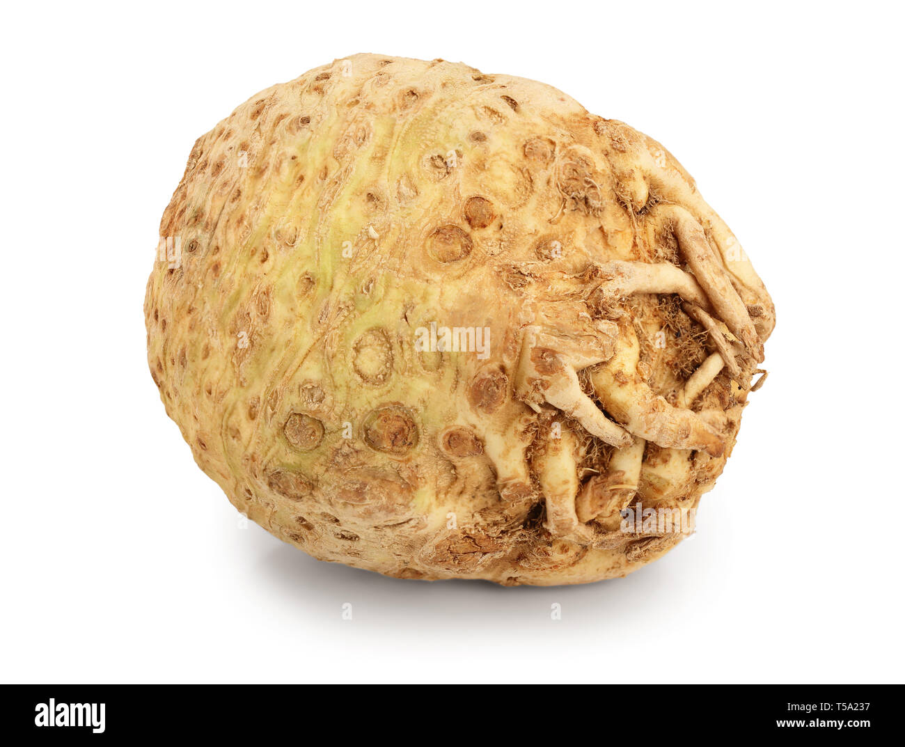 Fresh celery root isolated on white background Stock Photo - Alamy