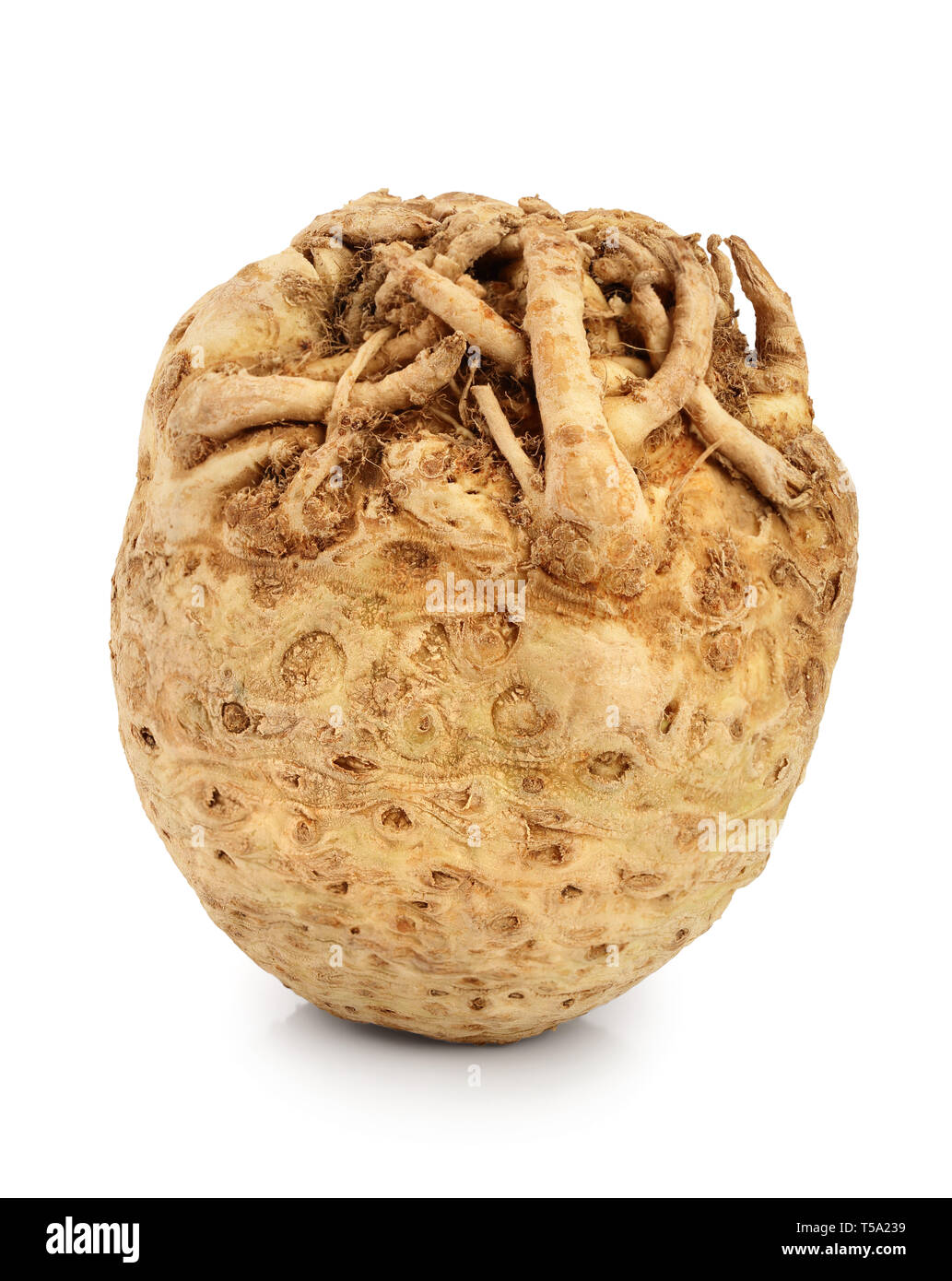 Fresh celery root isolated on white background Stock Photo - Alamy