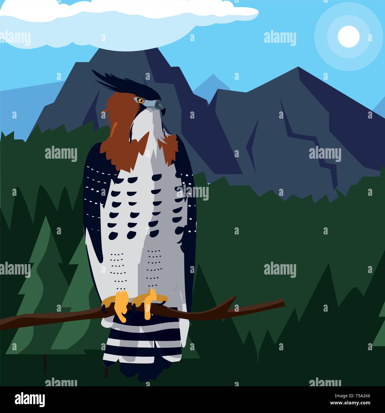 beautiful hawk in tree branch landscape scene vector illustration ...