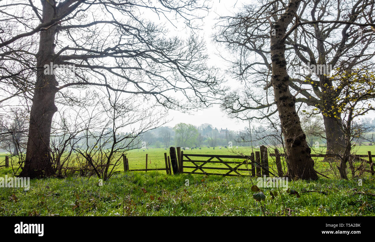 Farmland near the village of Worfield in Shropshire, UK Stock Photo - Alamy