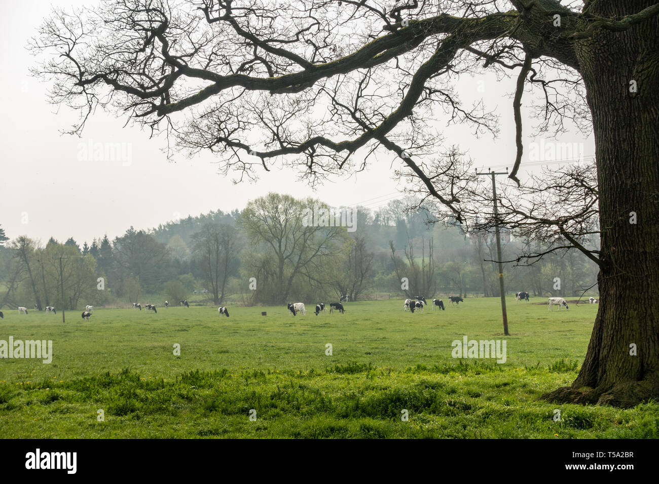 Worfield hi-res stock photography and images - Alamy