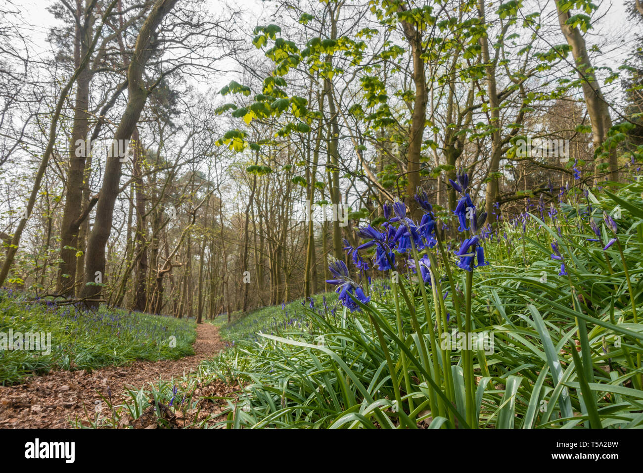 Worfield village hi-res stock photography and images - Alamy