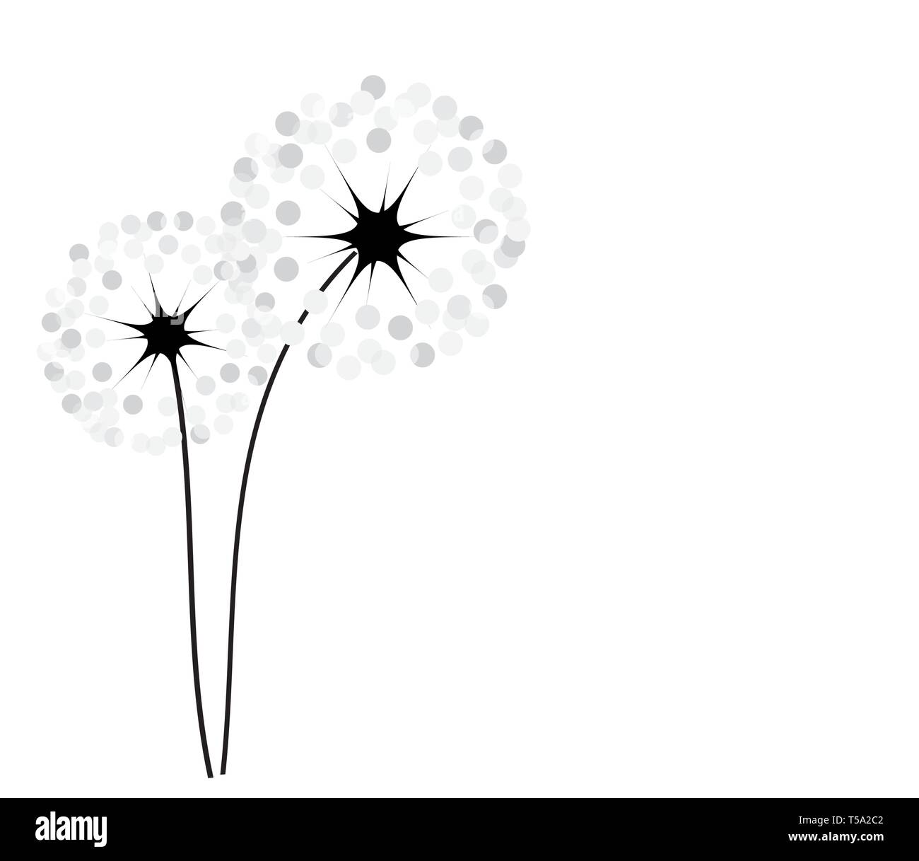 Abstract dandelion background vector illustration Stock Vector Image ...