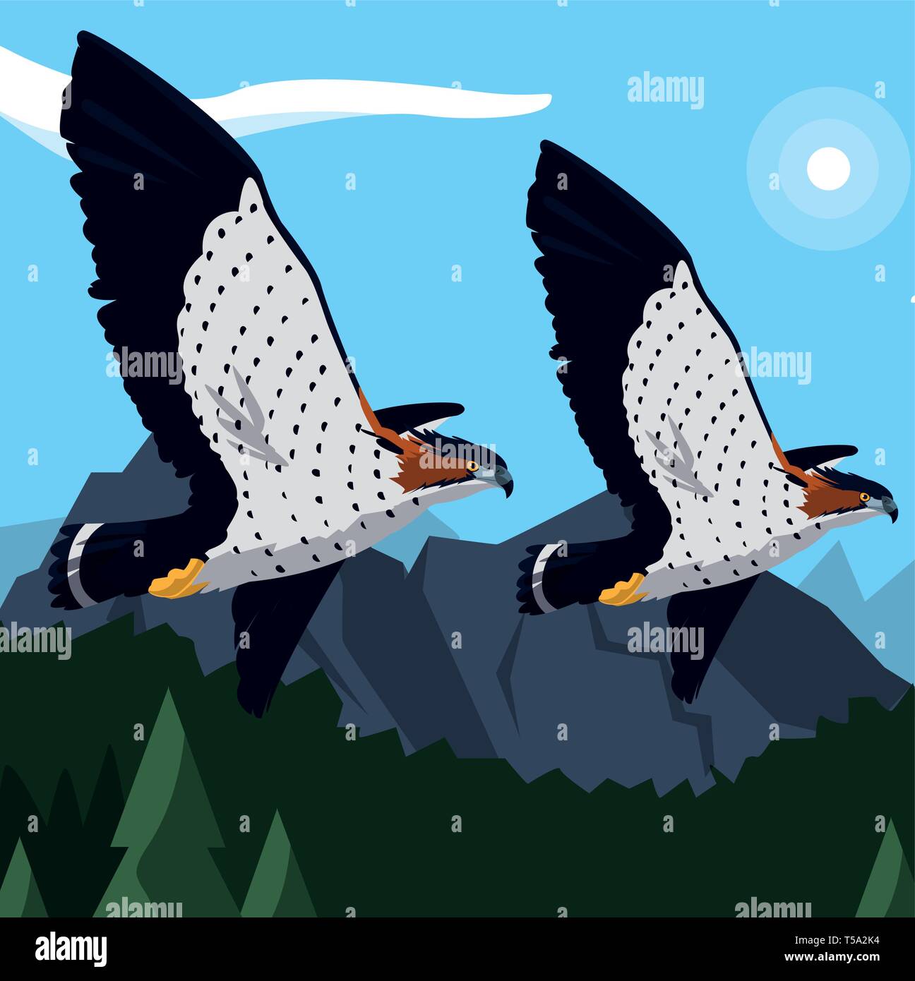 beautiful hawks flying majestic birds vector illustration design Stock ...