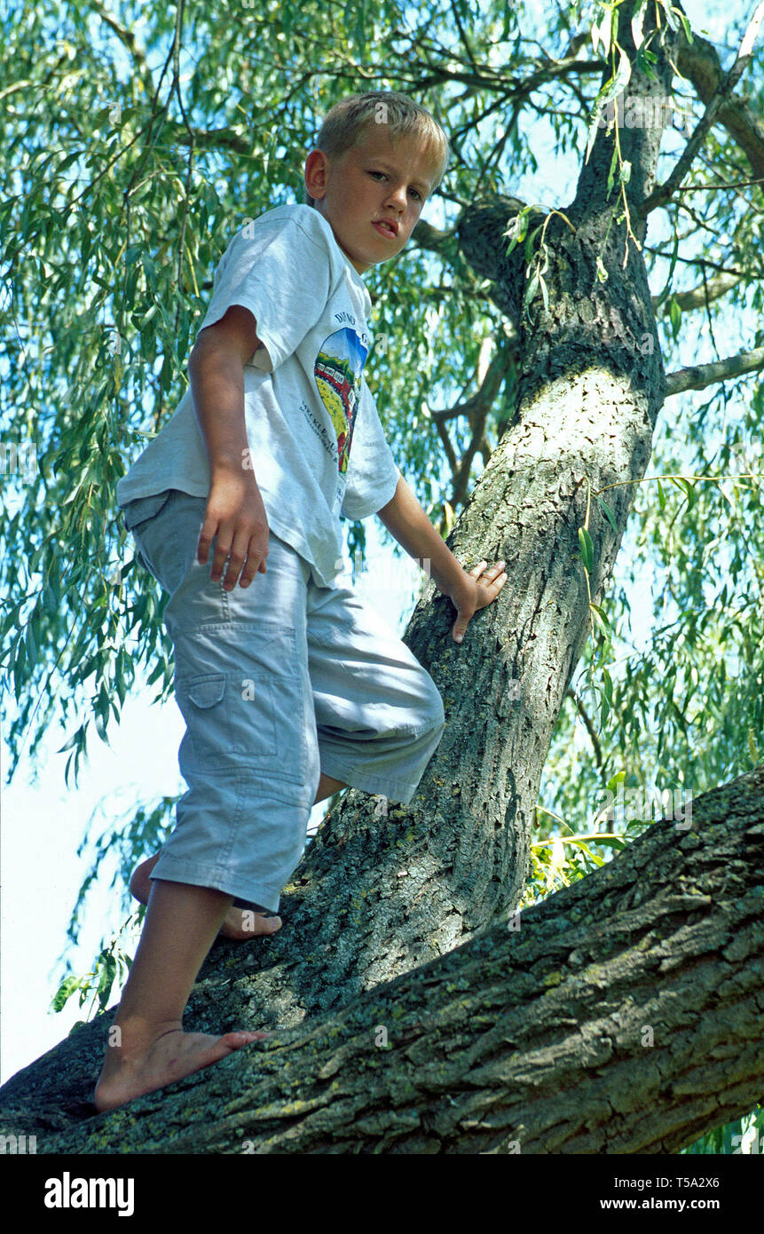 Children Climbing Tree Feet High Resolution Stock Photography and ...