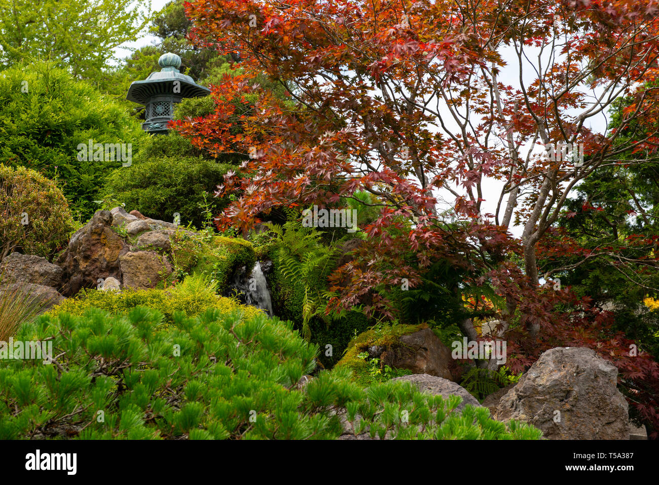 Buddhist Japanese Zen Garden In Botanical Garden High Resolution Stock ...