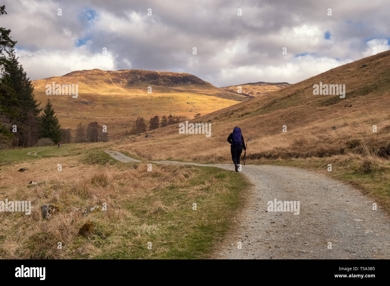 Cattle drovers scotland hi-res stock photography and images - Alamy