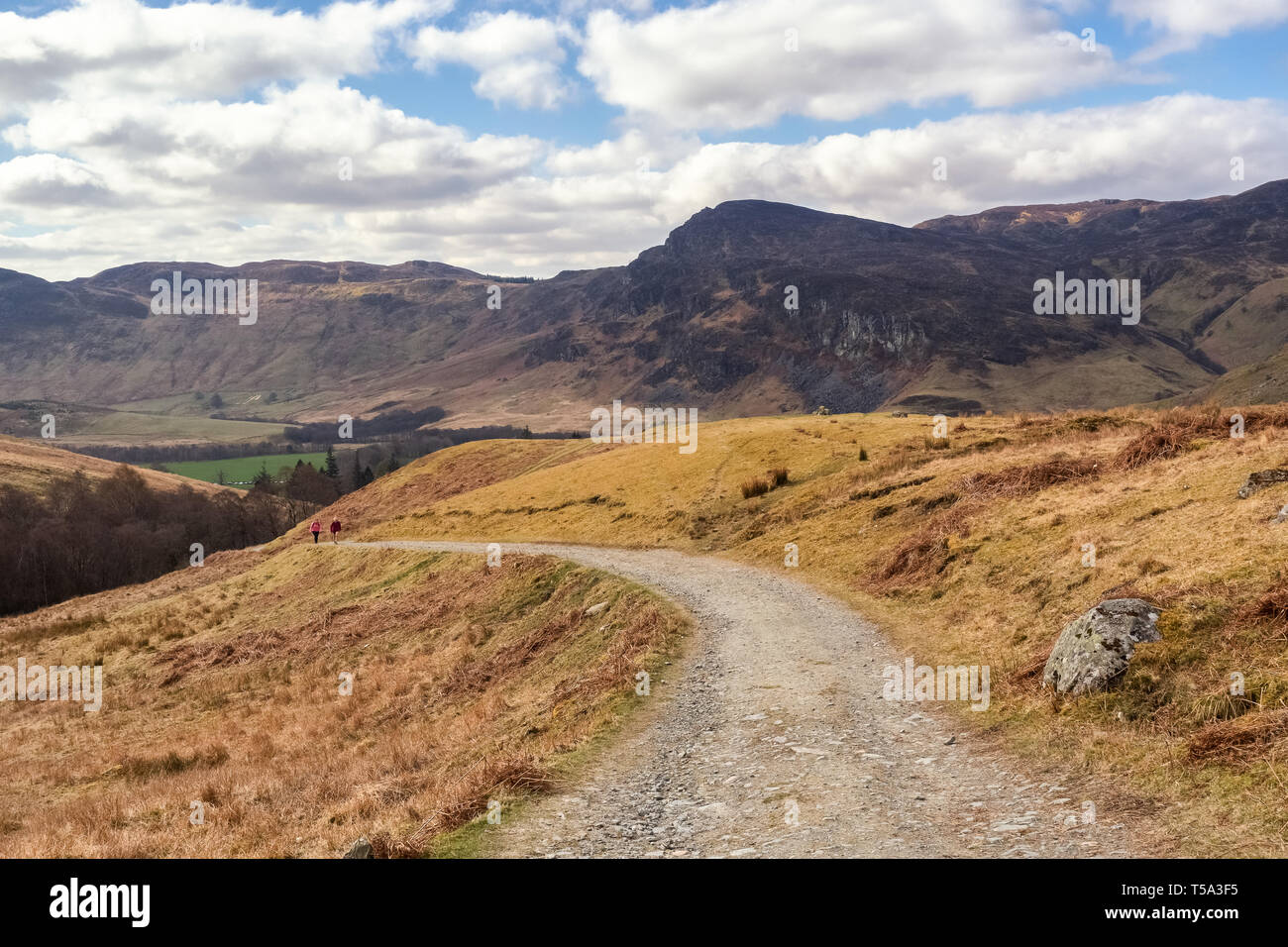 Cattle scotland drovers hi-res stock photography and images - Alamy