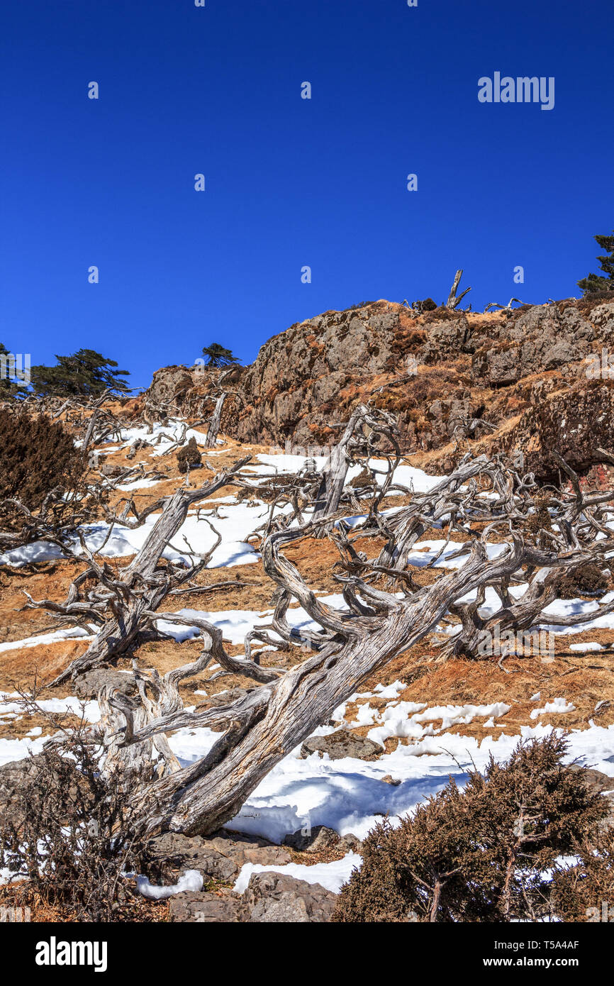 Arid high mountain environment landscape Stock Photo - Alamy