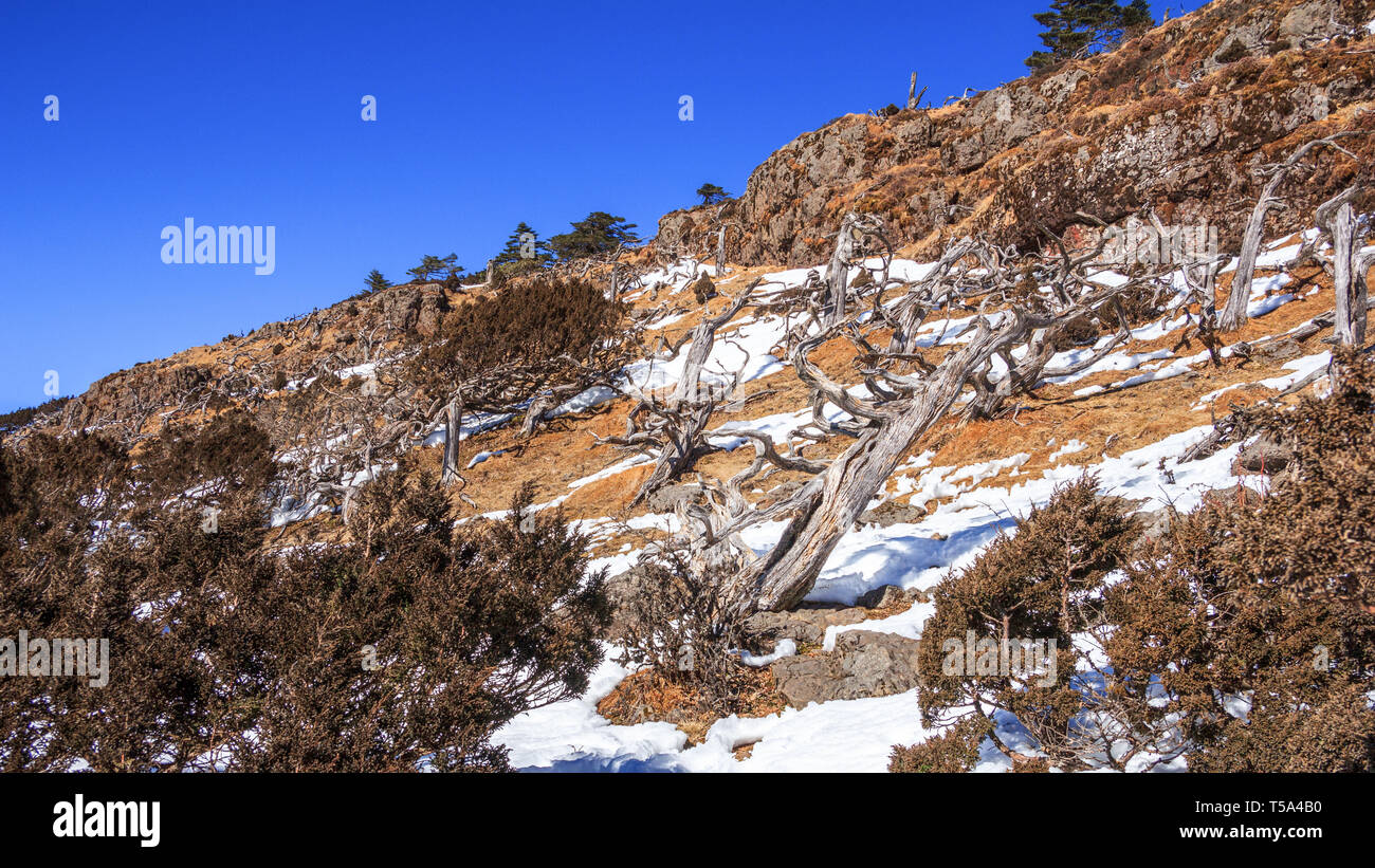 Arid high mountain environment landscape Stock Photo - Alamy
