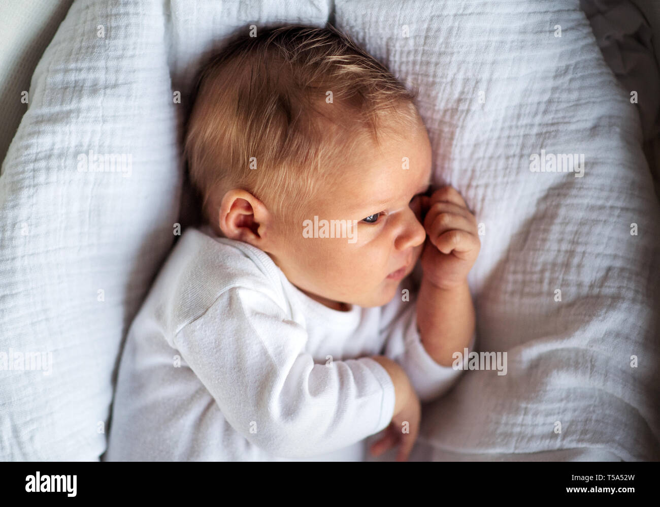 A close-up of a cute newborn baby at home, top view Stock Photo - Alamy