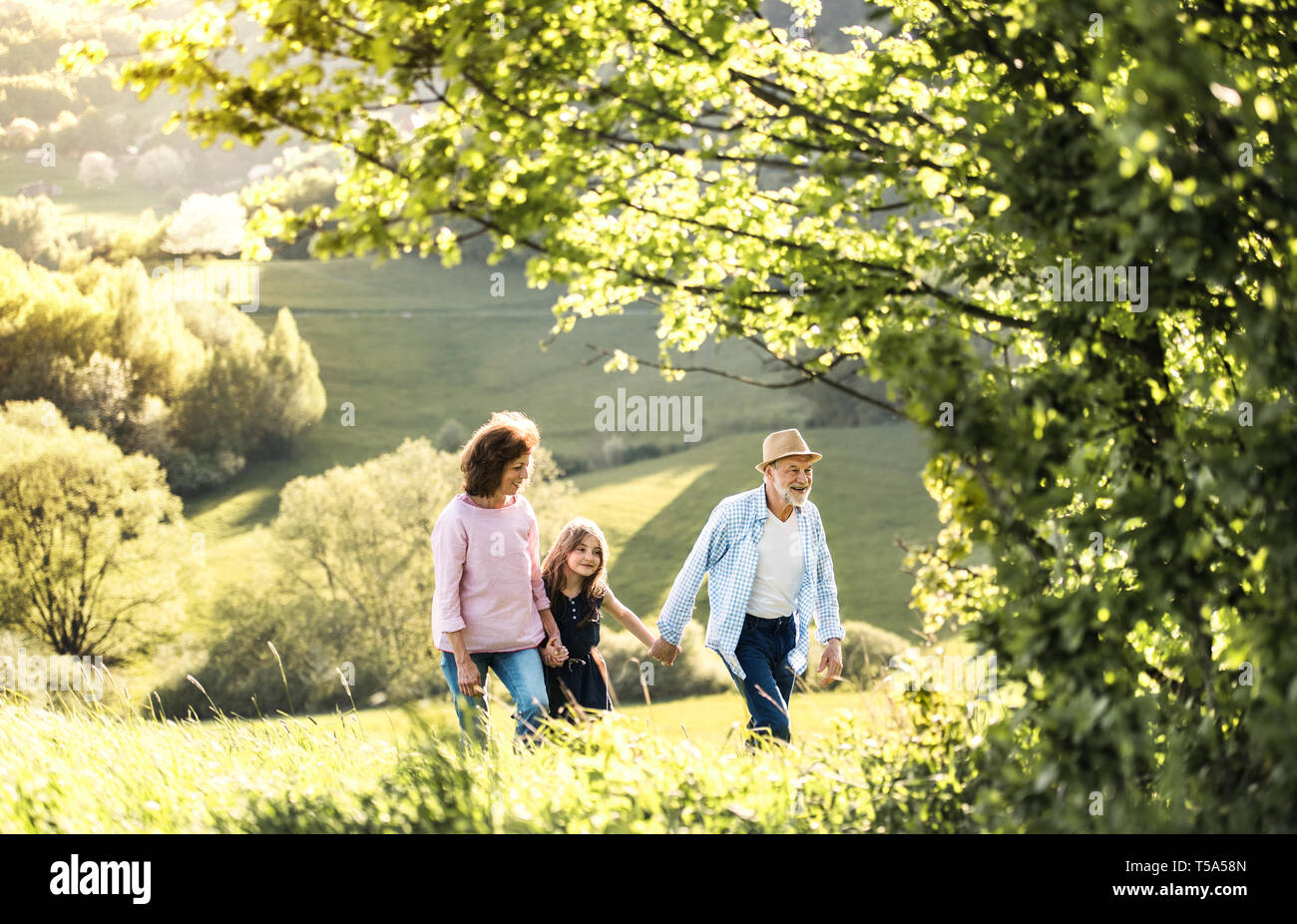 Senior couple with granddaughter walking outside in spring nature. Copy ...
