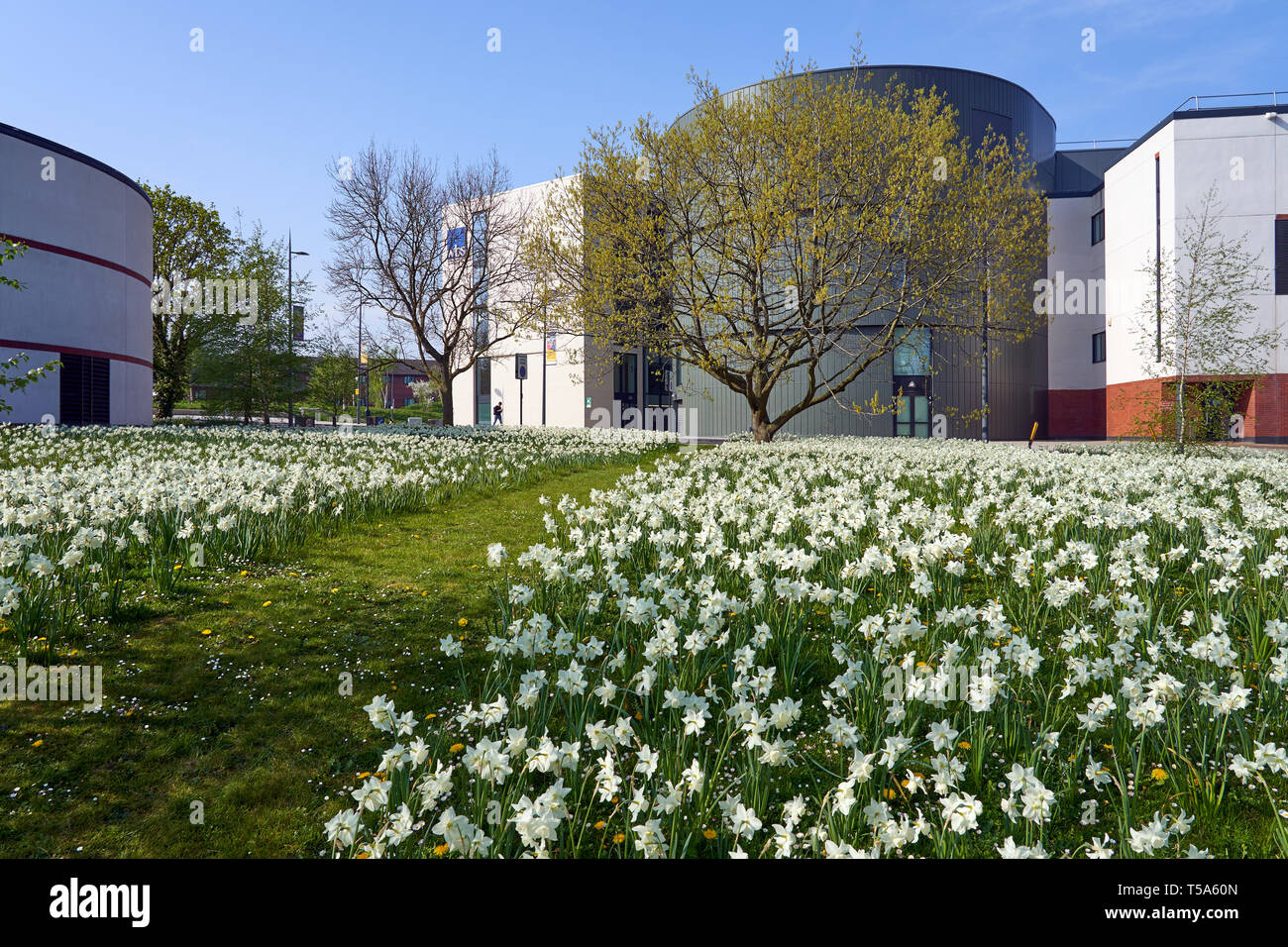 Warwick Business School High Resolution Stock Photography and Images - Alamy