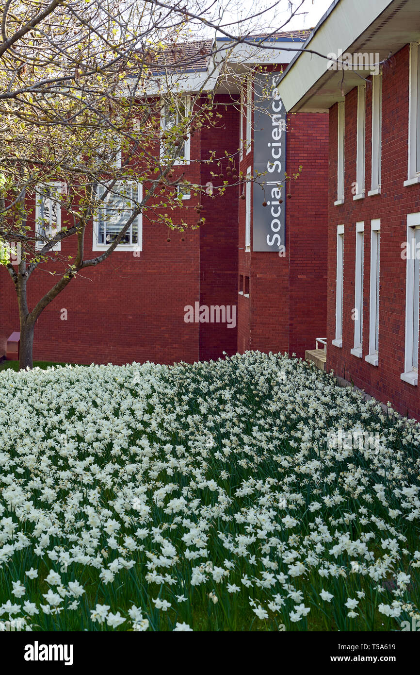 Warwick University campus Stock Photo - Alamy