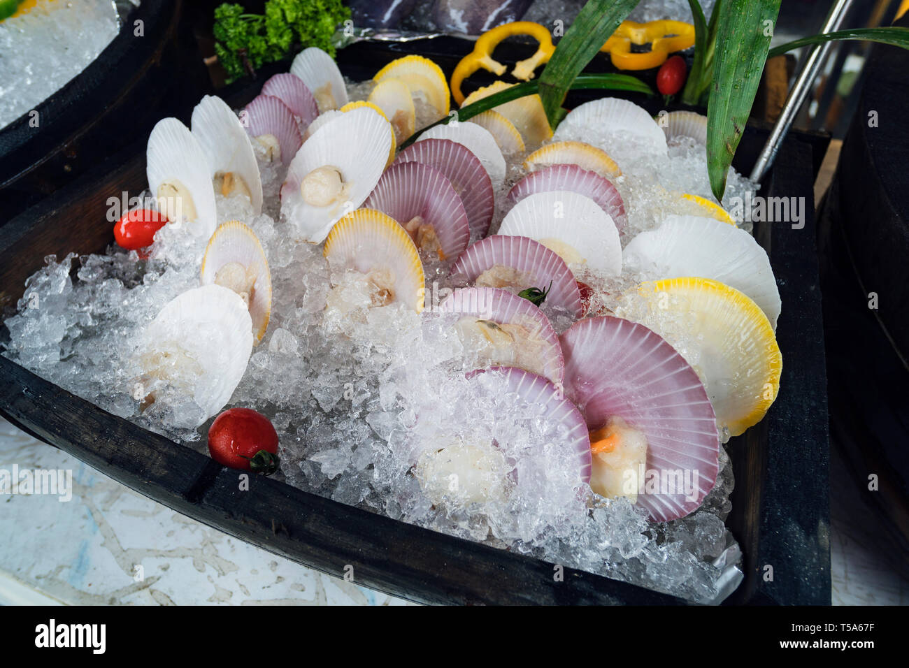Shell on the beach at koh chang hi-res stock photography and images - Alamy