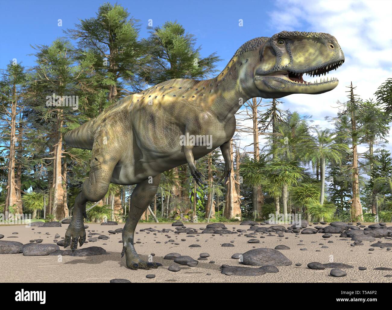 Abelisaurus hi-res stock photography and images - Alamy