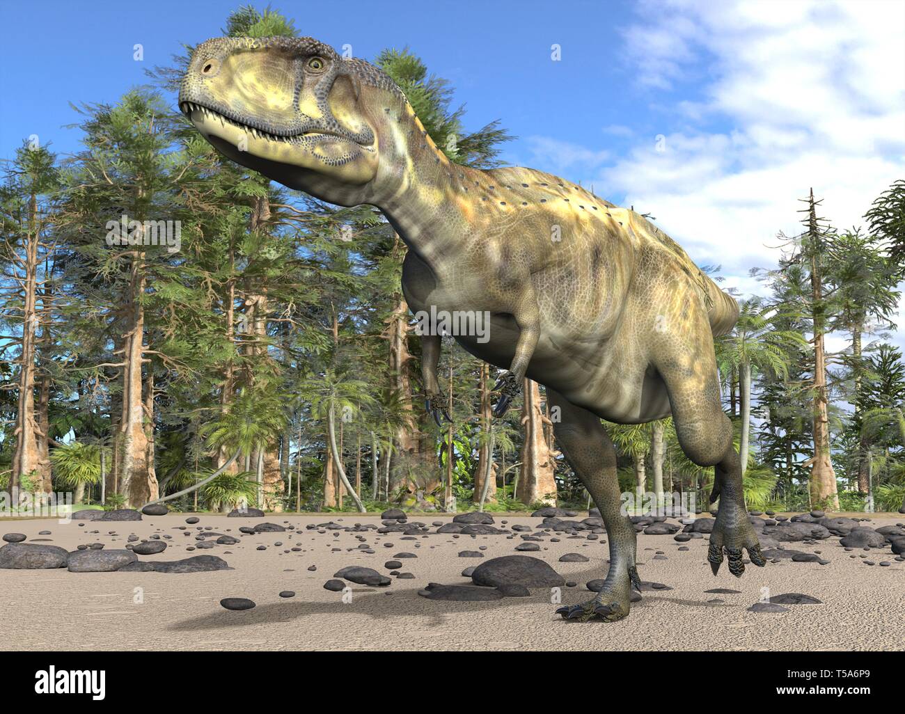Abelisaurus hi-res stock photography and images - Alamy