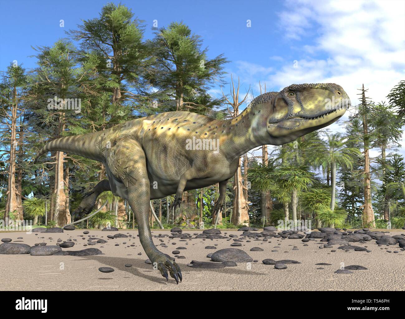 3D illustration abelisaurus dinosaur against the background of the ...