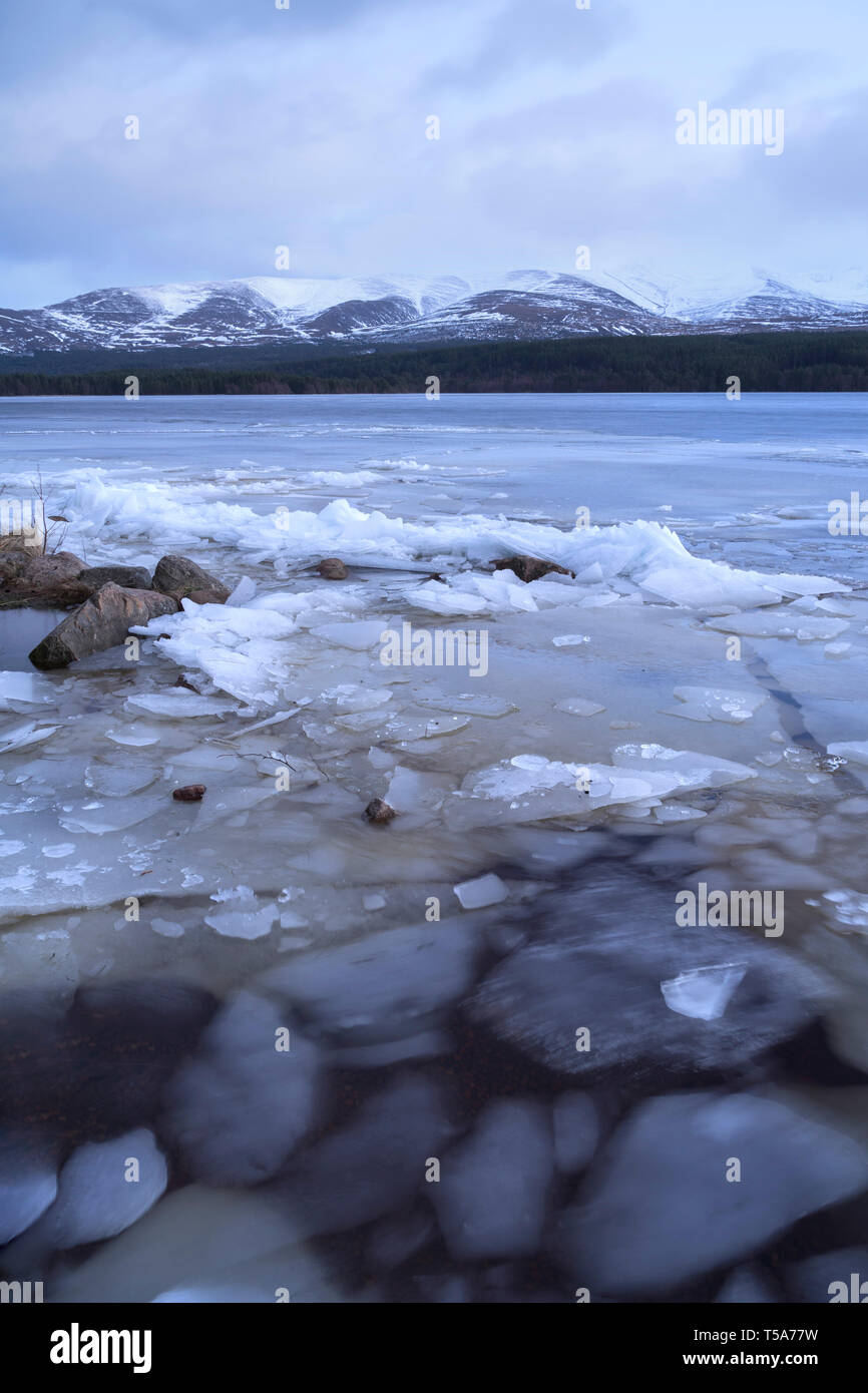Winter at the frozen Loch Morlich nr Aviemore, Scotland, UK Stock Photo ...