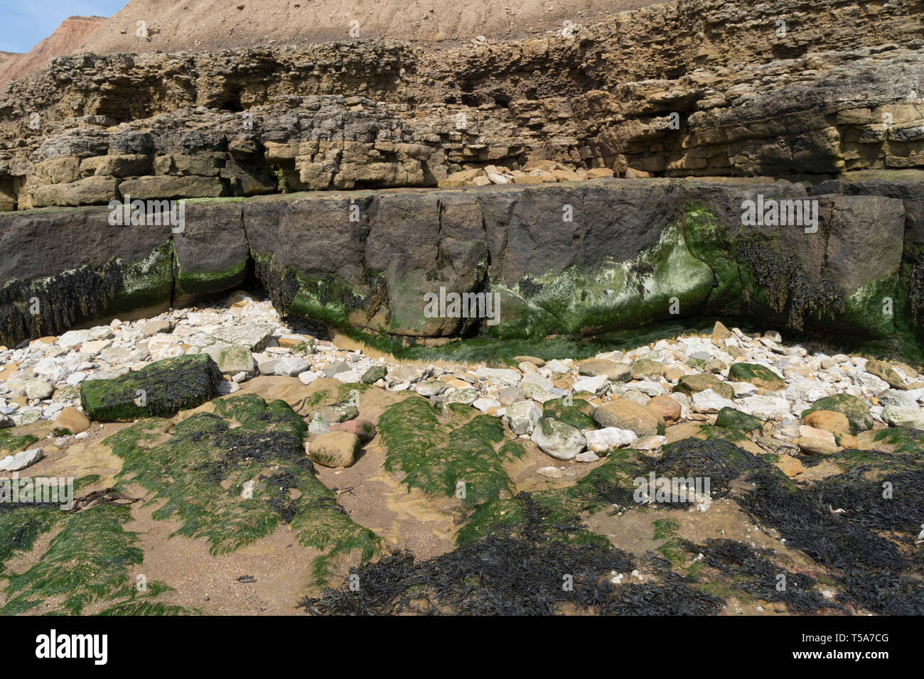 Filey yorkshire uk hi-res stock photography and images - Alamy