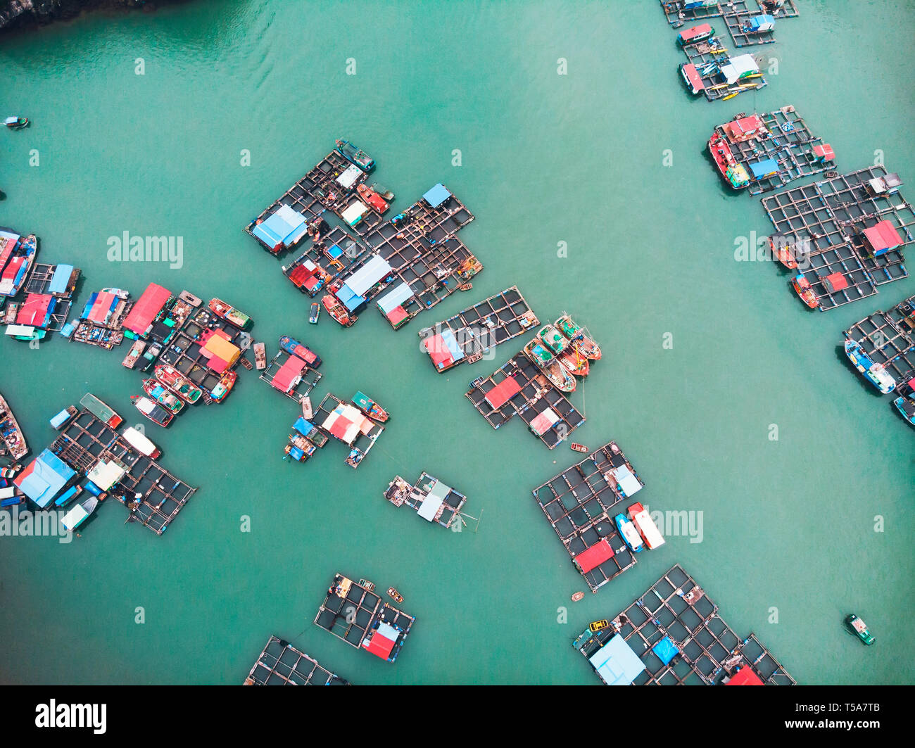 Aerial view of floating villages around Cat Ba islands. Cat Ba is the ...