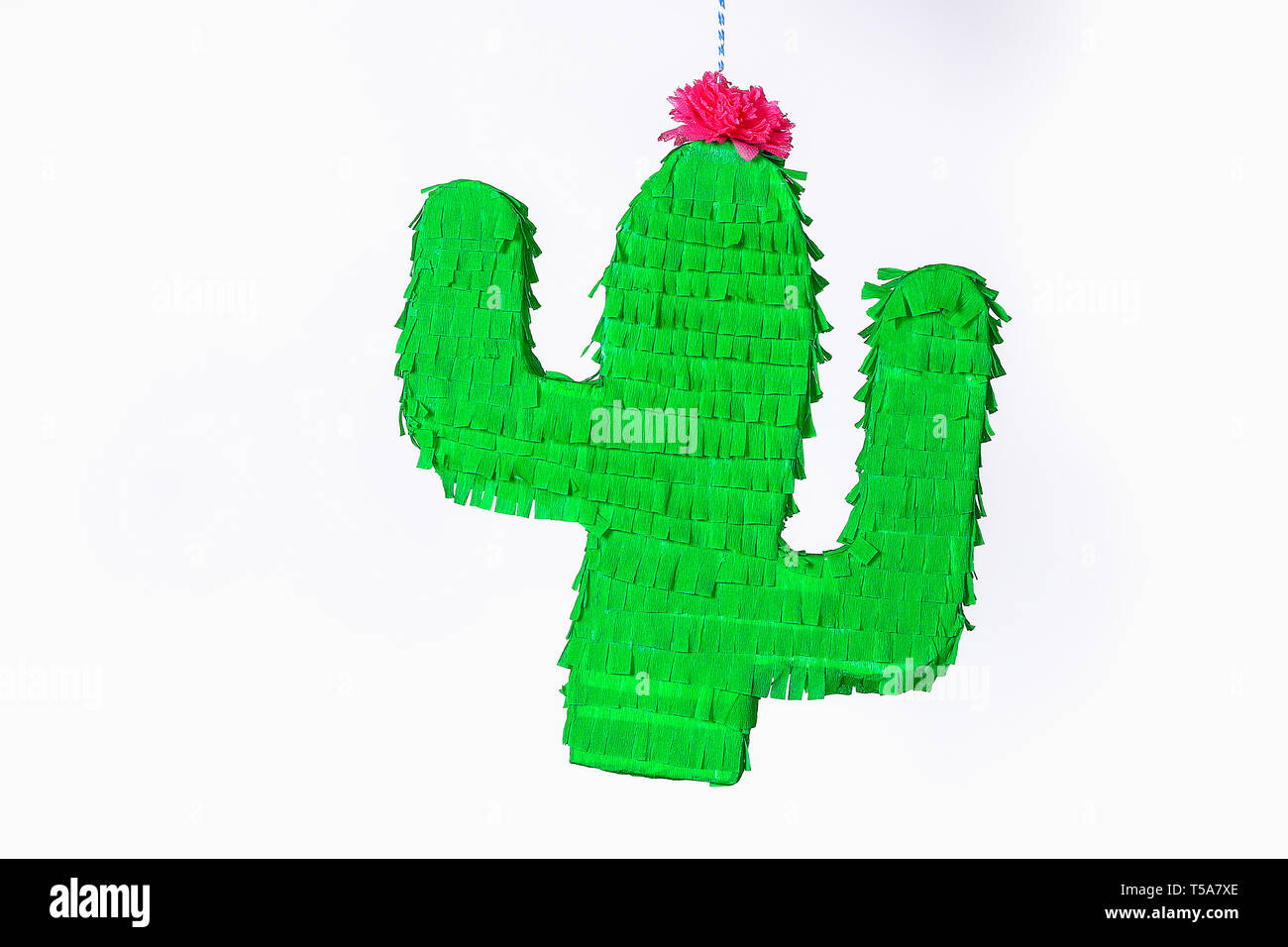 Diy cinco de mayo Mexican Pinata Cactus made cardboard and crepe paper ...