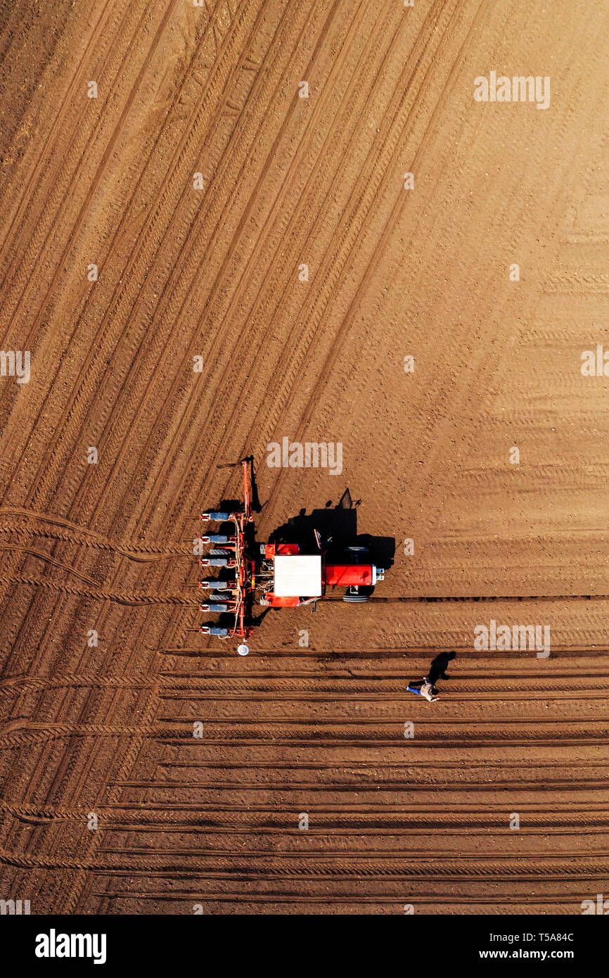 Aerial view of farmer and tractor with crop seeder mounted during corn ...