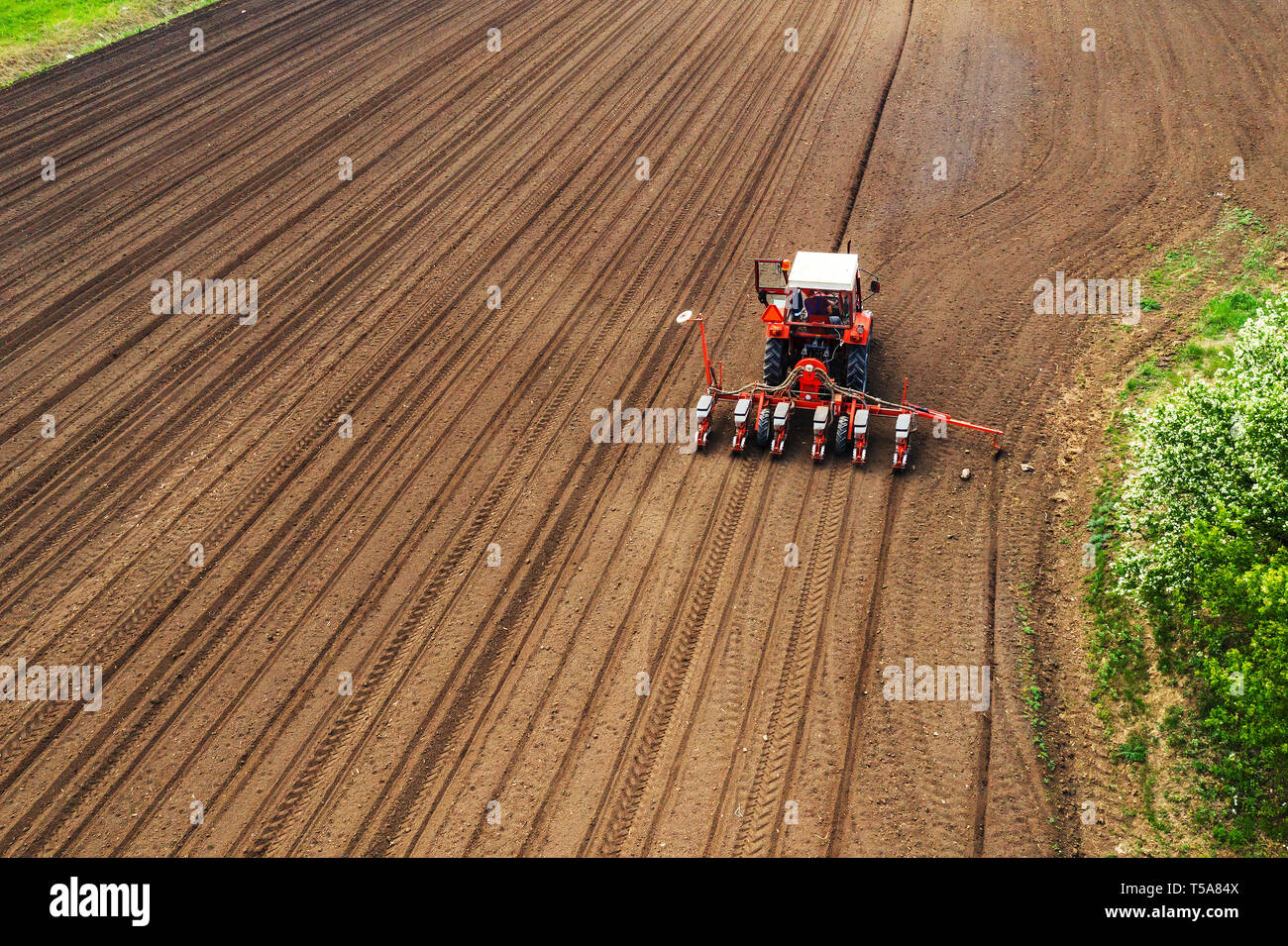 Aerial view of tractor with mounted seeder performing direct seeding of ...