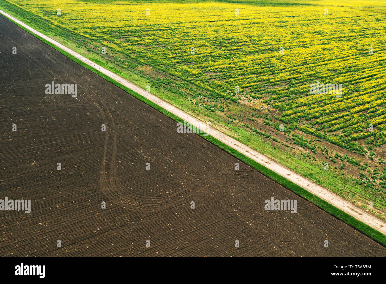 Aerial view of plowed field ready for sowing season from drone pov ...