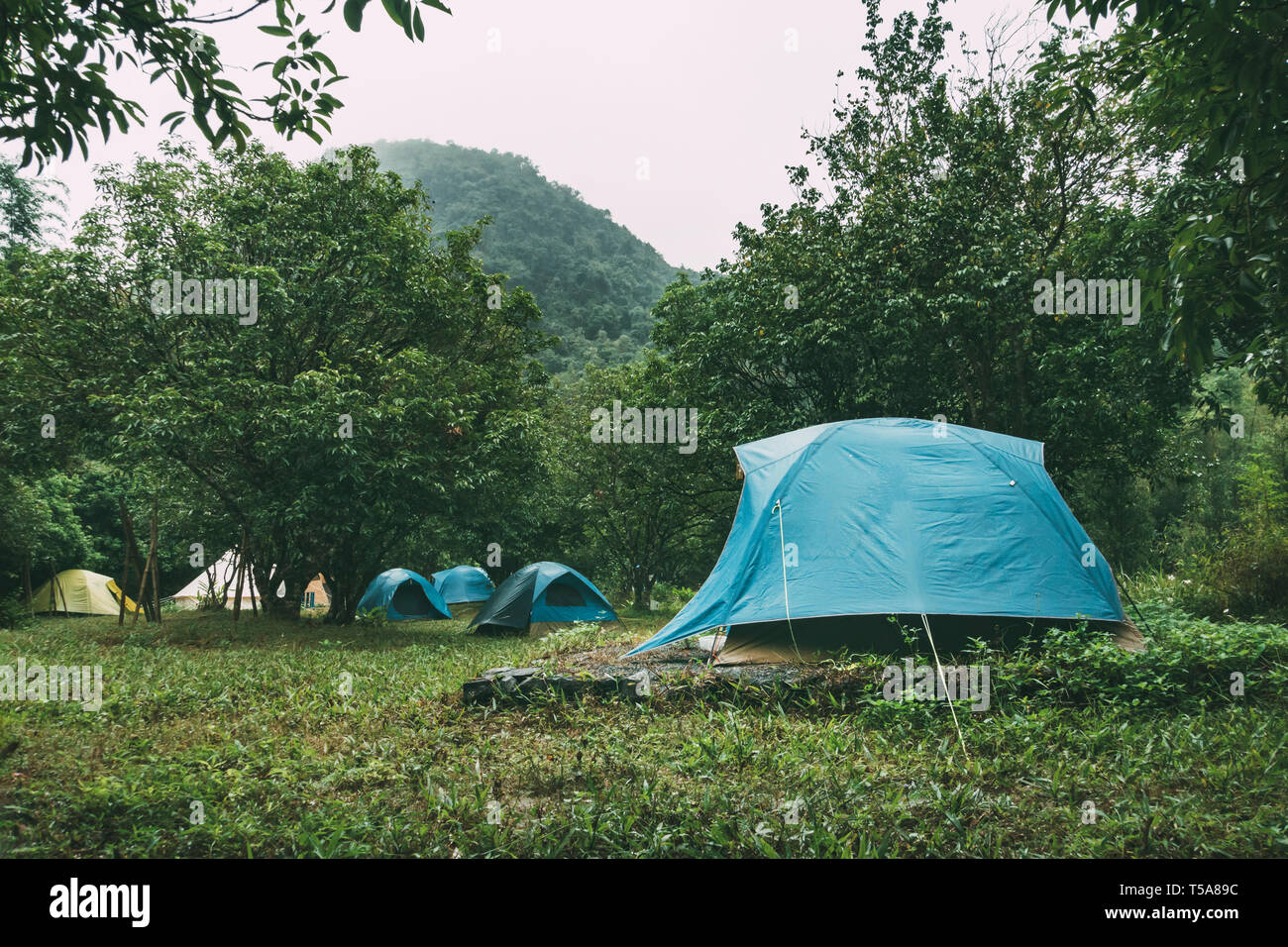 Tourist camp with lots of tents in the woods. Light blue color dome ...