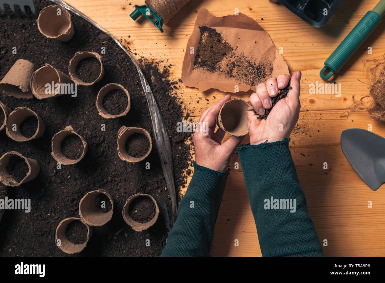 Gardener filling biodegradable soil pot container ready for sowing and ...