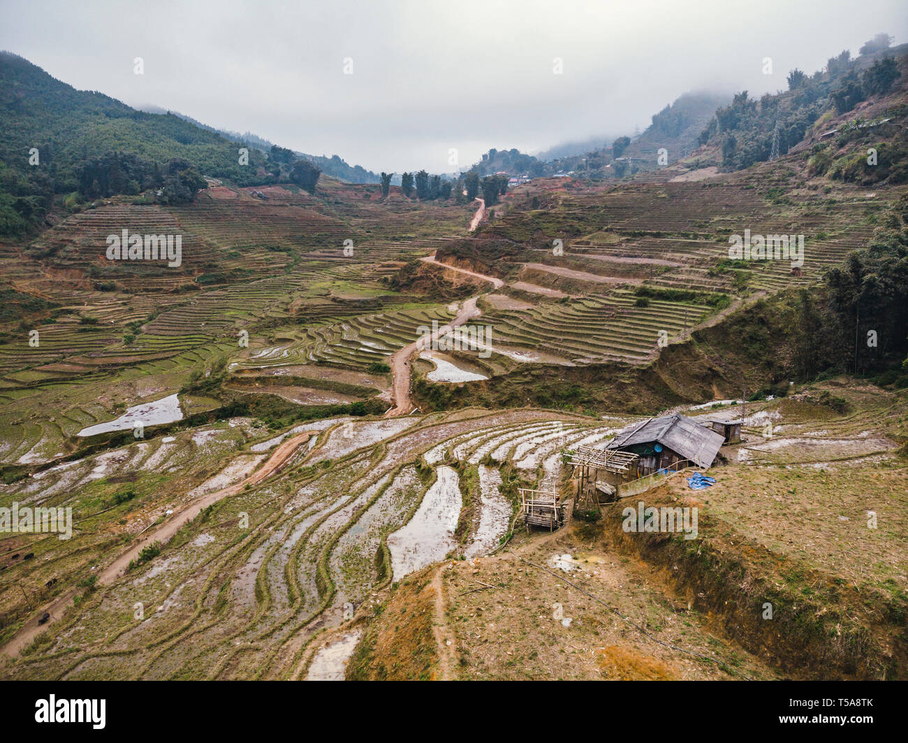 Vietnam, Sa Pa, Rice fields in fog. Top view, aerial view. Beautiful ...