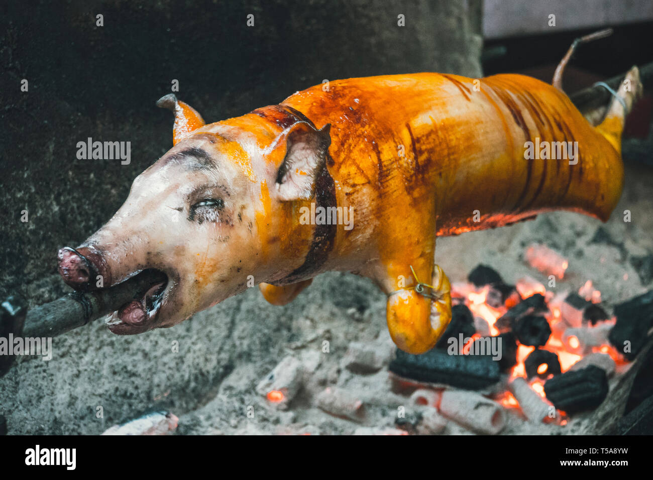 Poor Sucking Pig grilled on Fire. A pig grilled traditional coal and ...